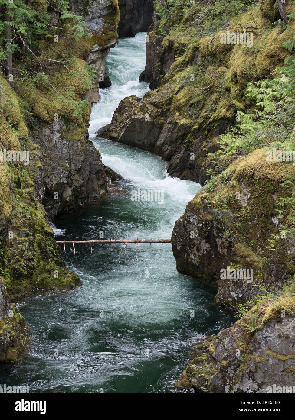 A river gorge at Little Qualicum Falls Provincial Park in British ...