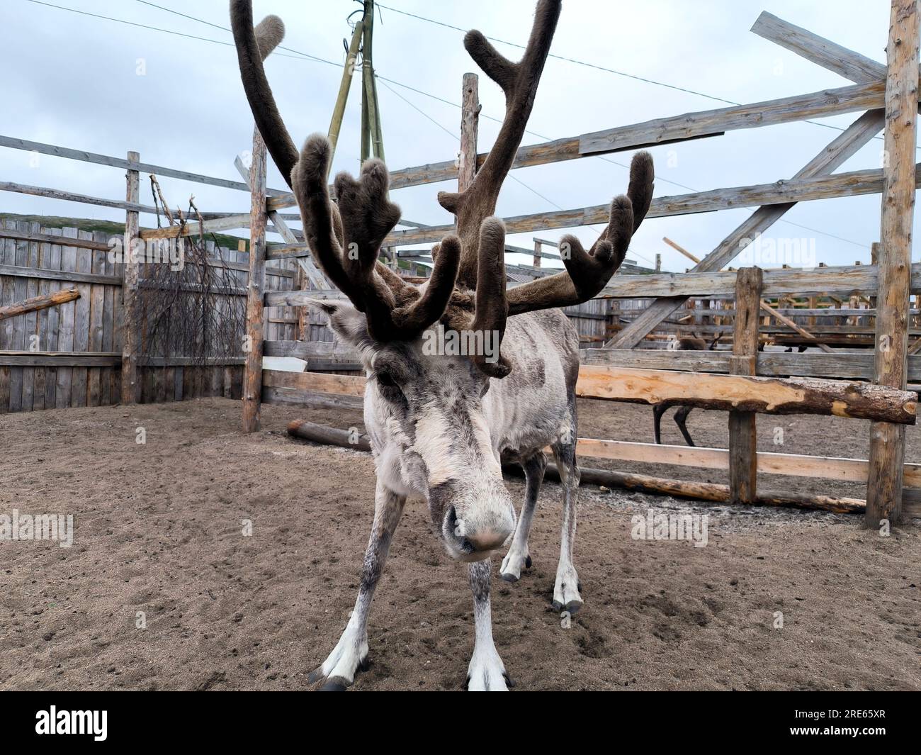 Russian Federation Murmansk Region The Village Of Teriberka The