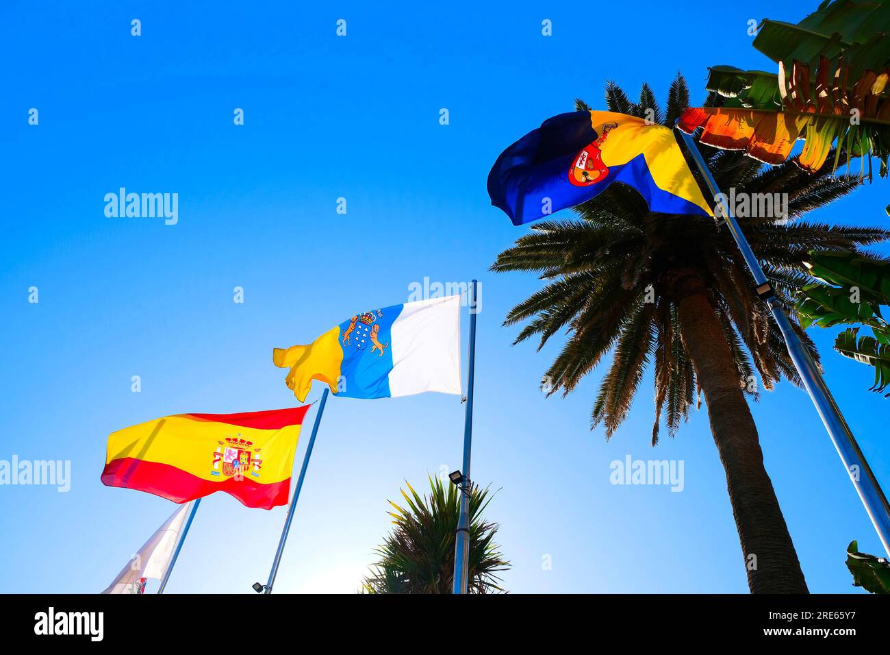 Low angle view of Canary Islands, Spain and Gran Canaria flags on tall ...