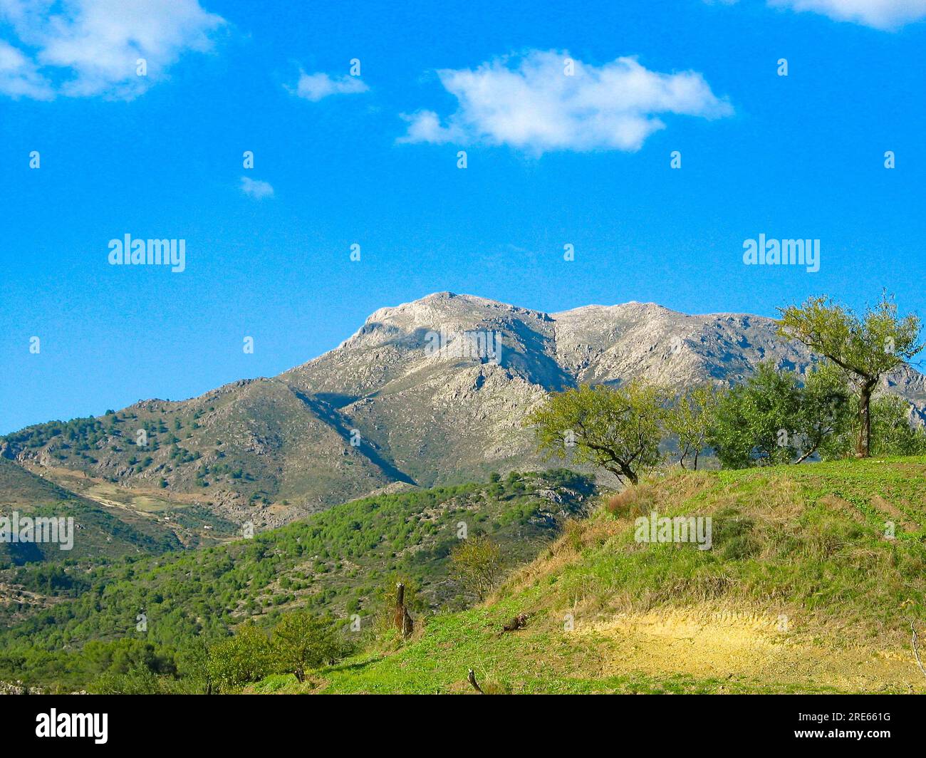 Typical landscape of Spain. Inland real estate in Southern Spain, an ...