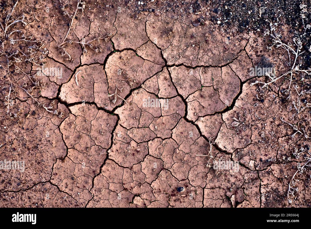 Climate change and crisis, dry perched and cracked red fluvial soil ...