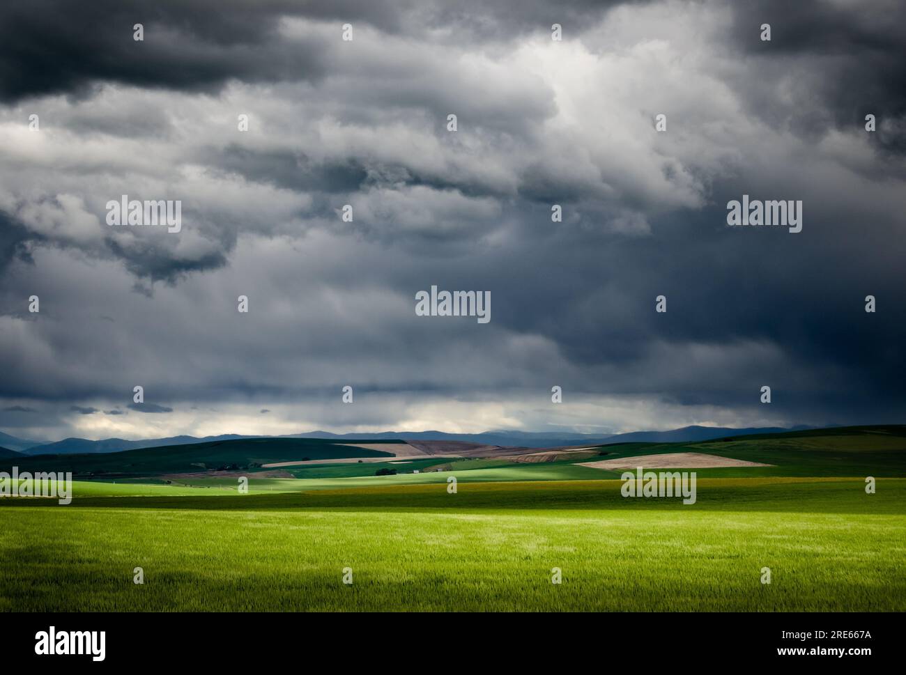 Storm clouds and rolling farmland. Camas Prairie, Idaho, USA Stock ...
