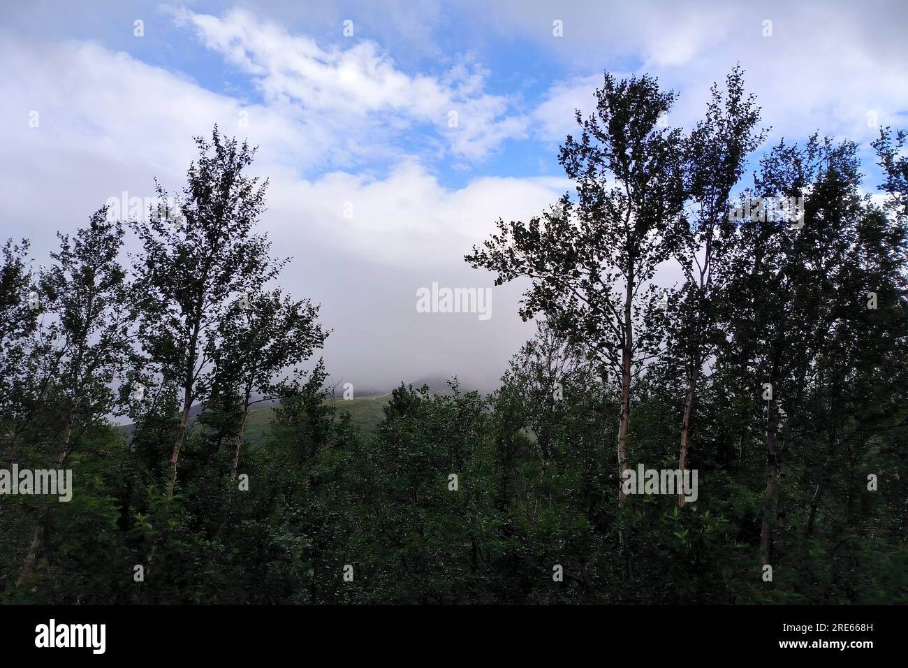 Russian Federation. Khibiny Mountain region. The city of Kirovsk. Park ...