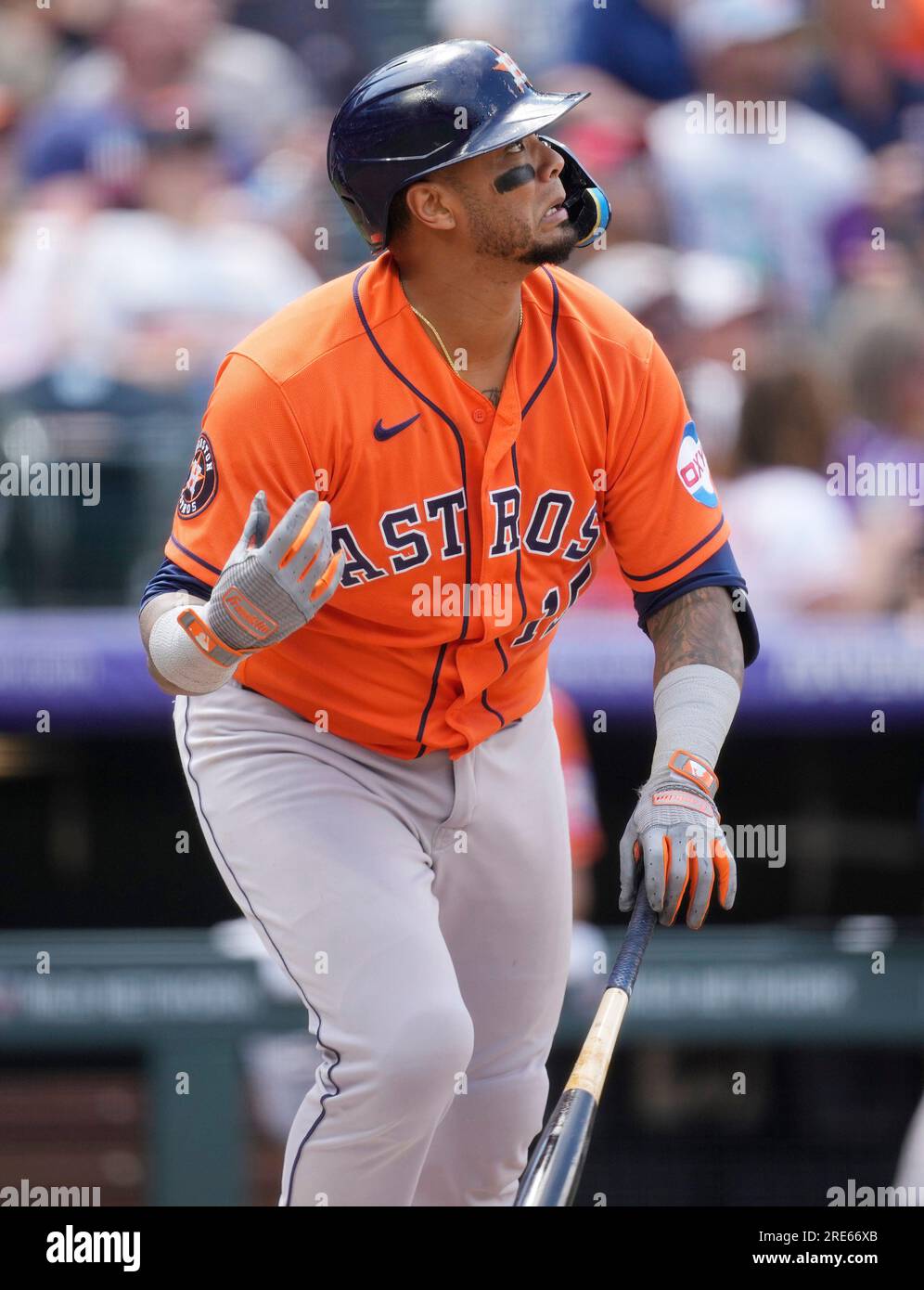Houston Astros catcher Martin Maldonado (15) in the fifth inning of a ...