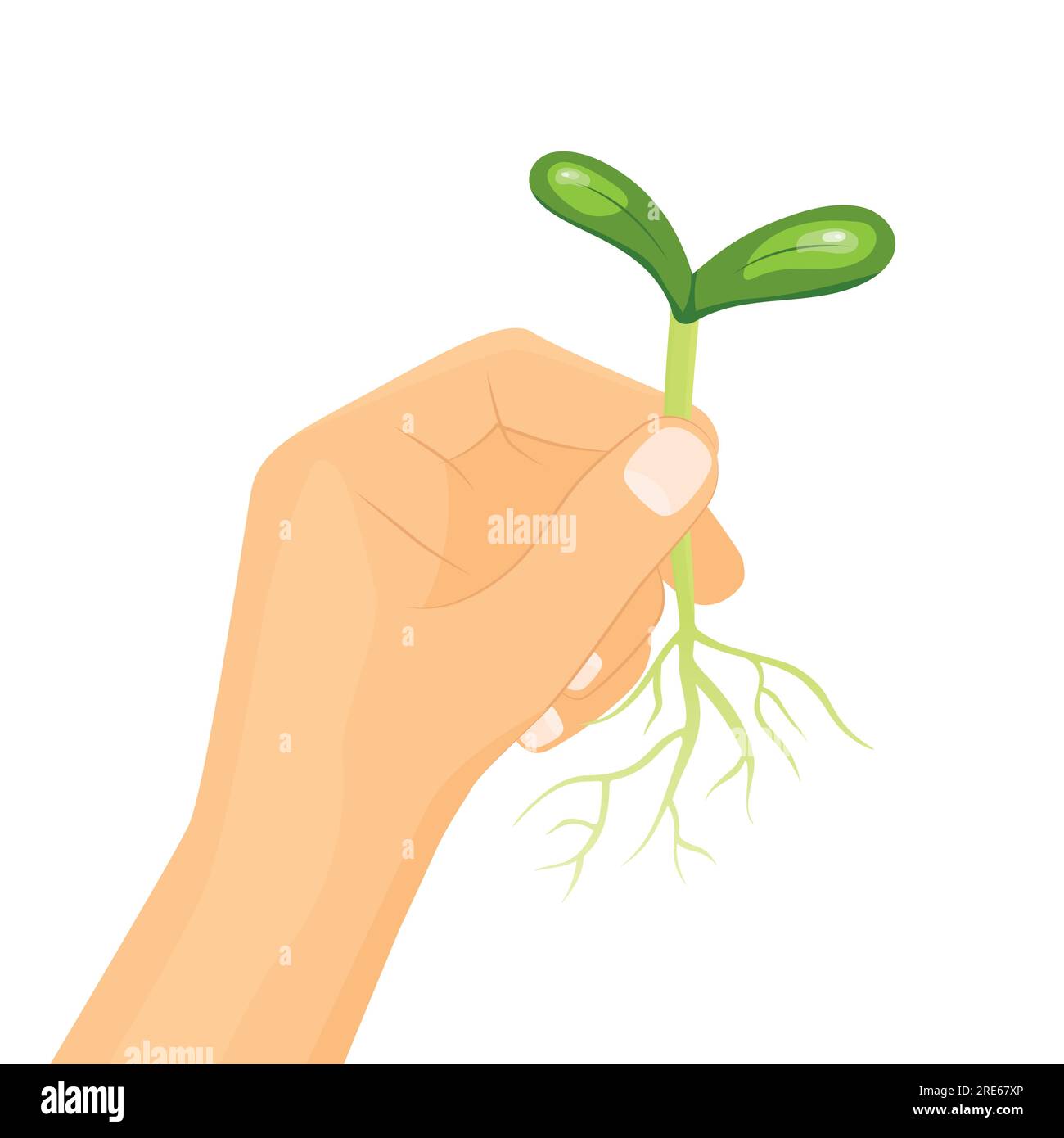 hand holding young plant with roots; new life concept -vector ...