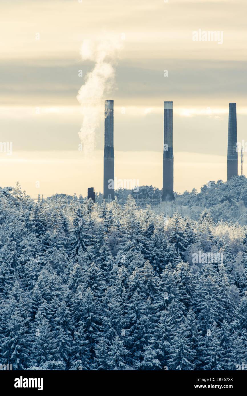 Steam rising from smoke stacks behind icy forest in winter Stock Photo ...