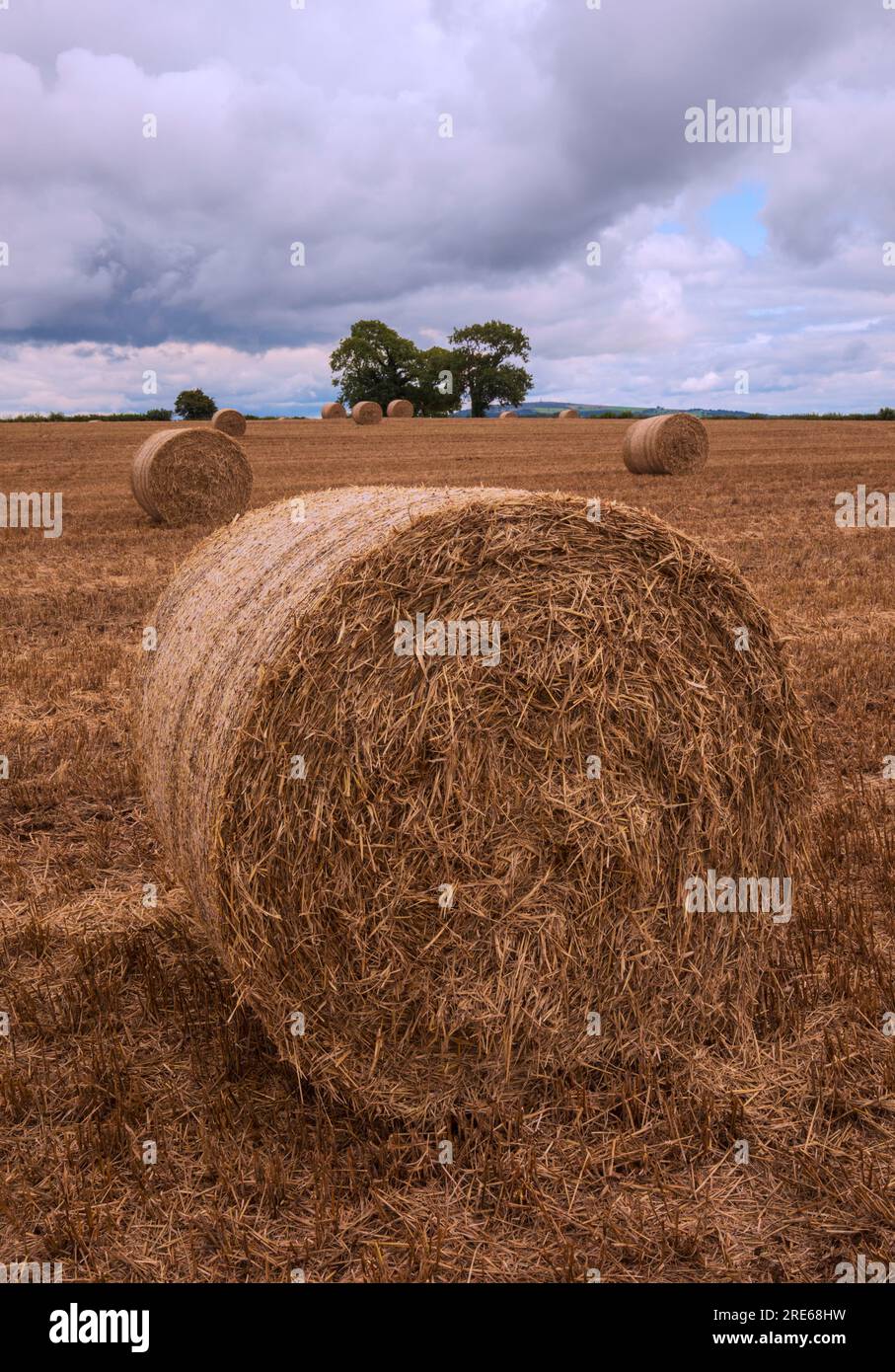 3 bales hi-res stock photography and images - Alamy