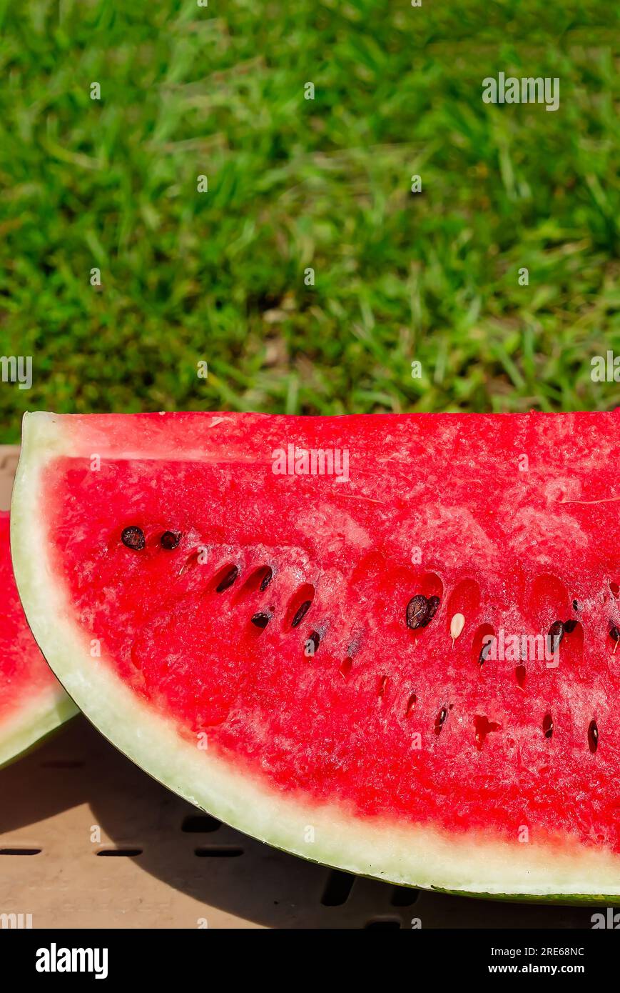 A seeded watermelon is sliced to expose the interior flesh, June 27 ...