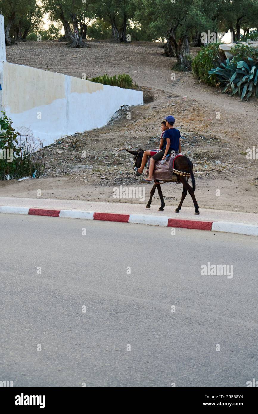 Two boys riding a donkey on the road Stock Photo - Alamy