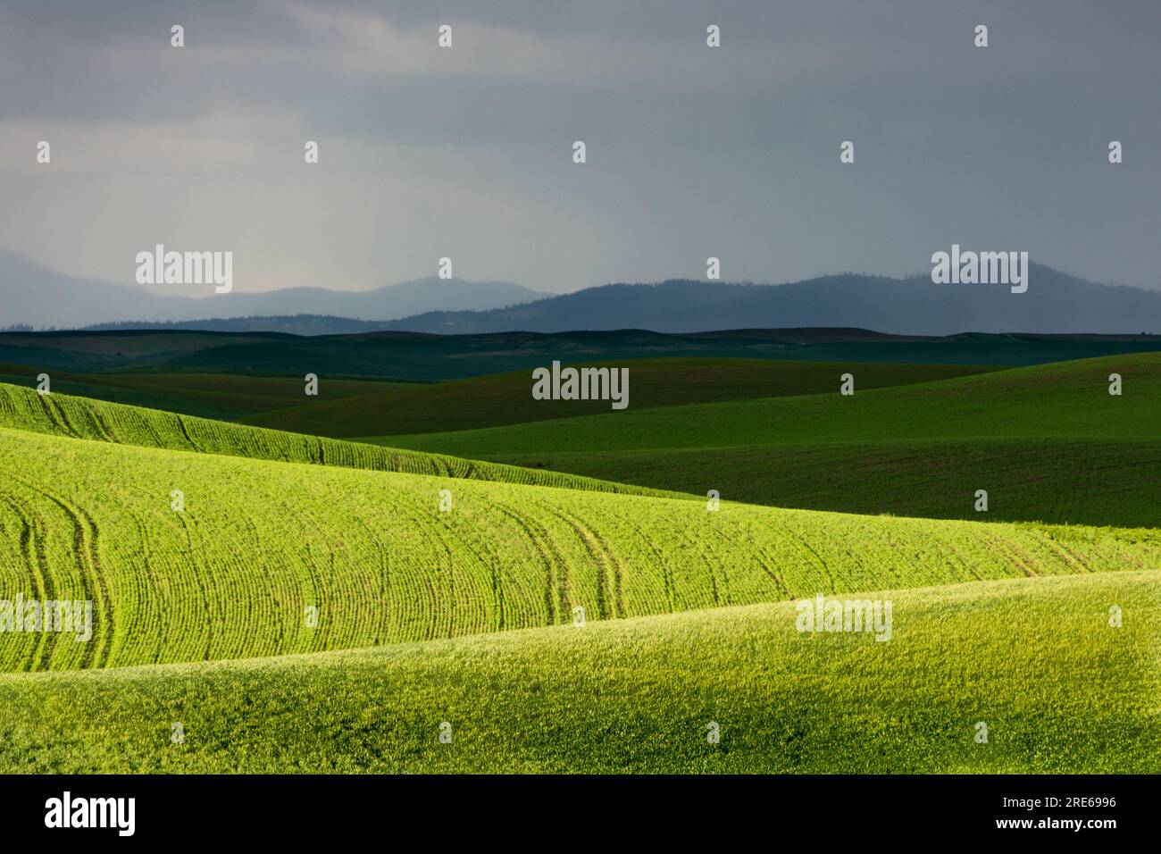Rolling fields and distant hills hi-res stock photography and images ...