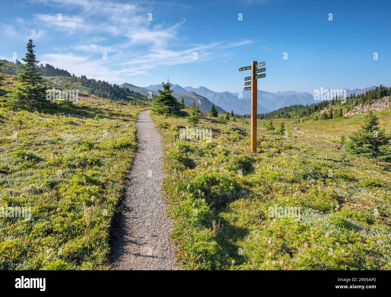 Hiking trail with directional sign post at Sunshine Meadows on the ...