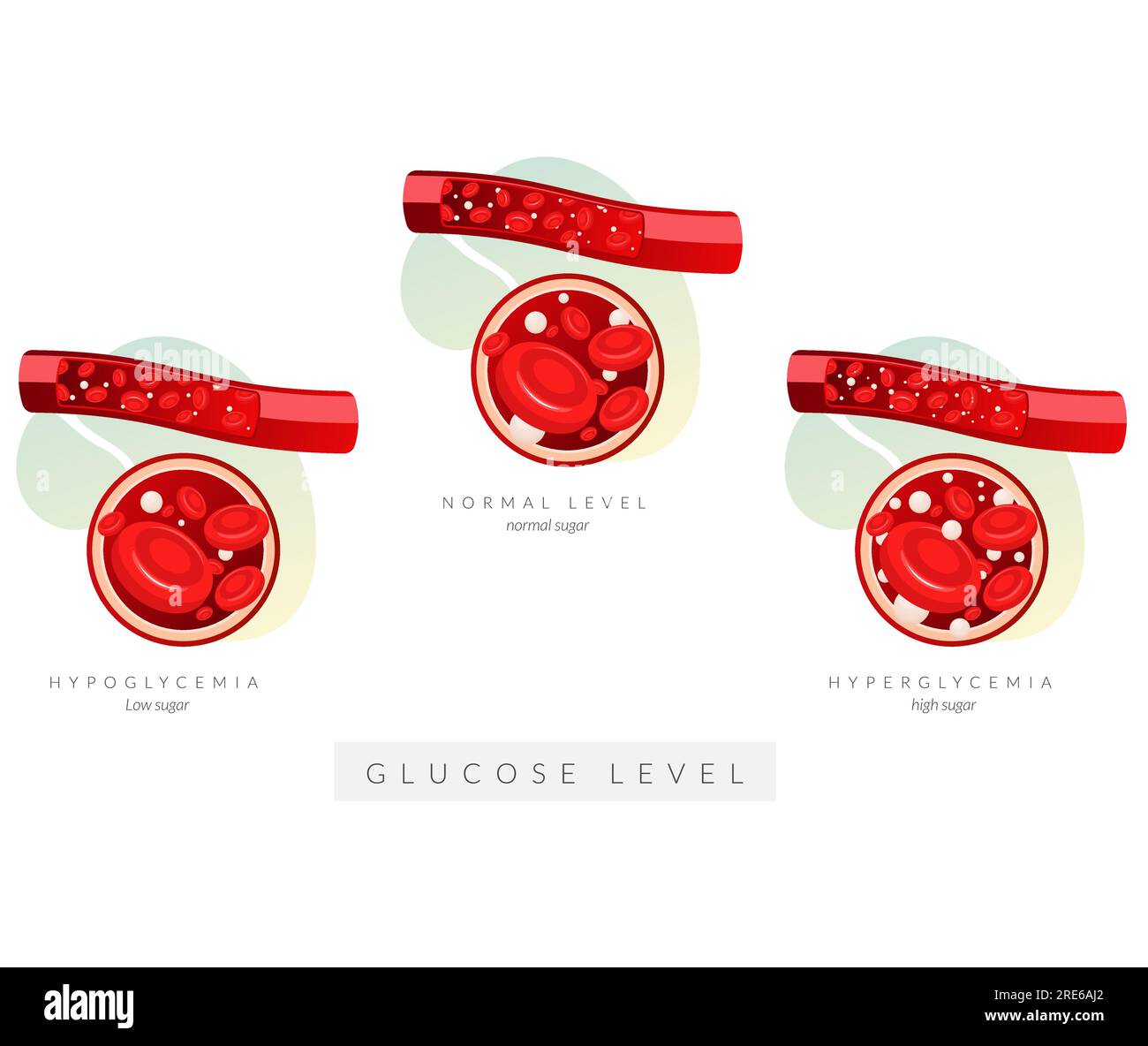 Red Blood Cell - Glucose Level - Stock Illustration as EPS 10 File ...