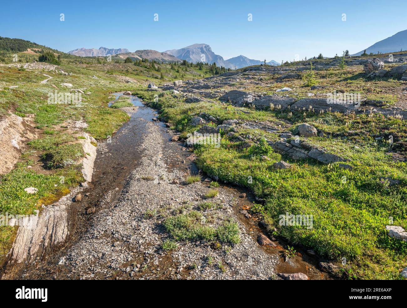 Mountain top stream in Sunshine Meadows in Banff National Park, Alberta ...