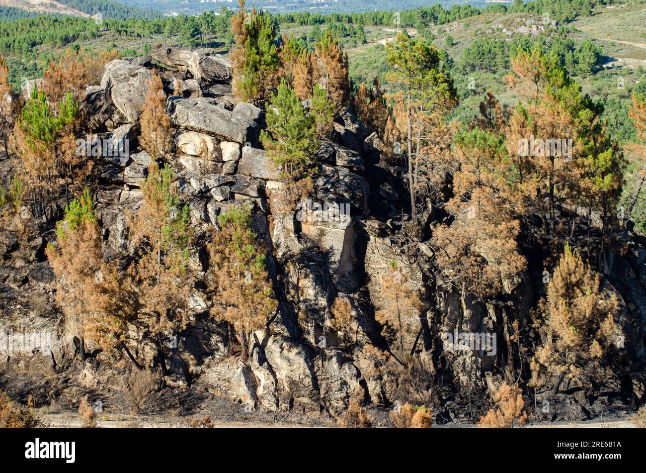 view of part of a mountain area affected by forest fire Stock Photo - Alamy