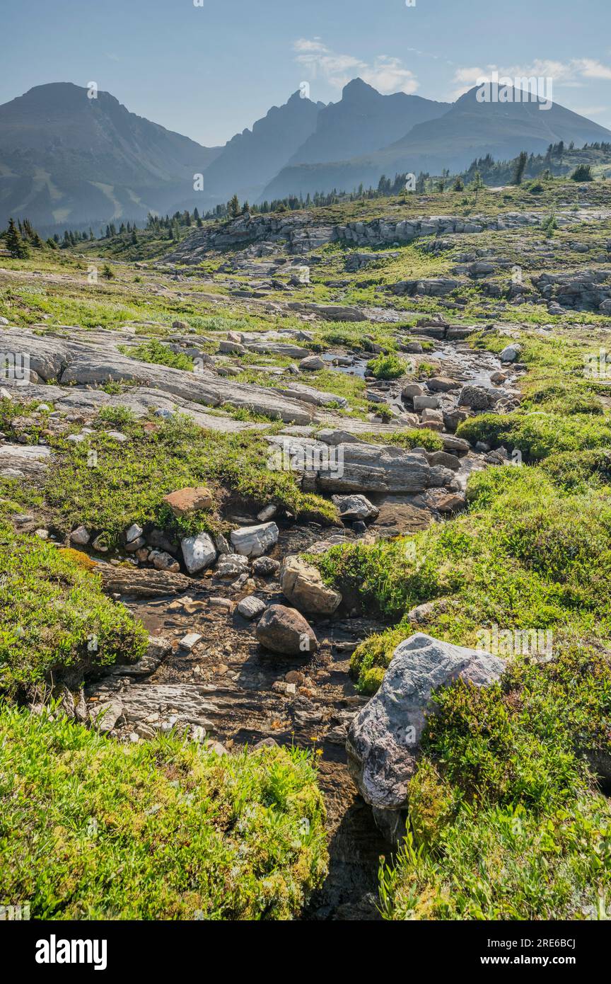 Mountain top stream in Sunshine Meadows in Banff National Park, Alberta ...