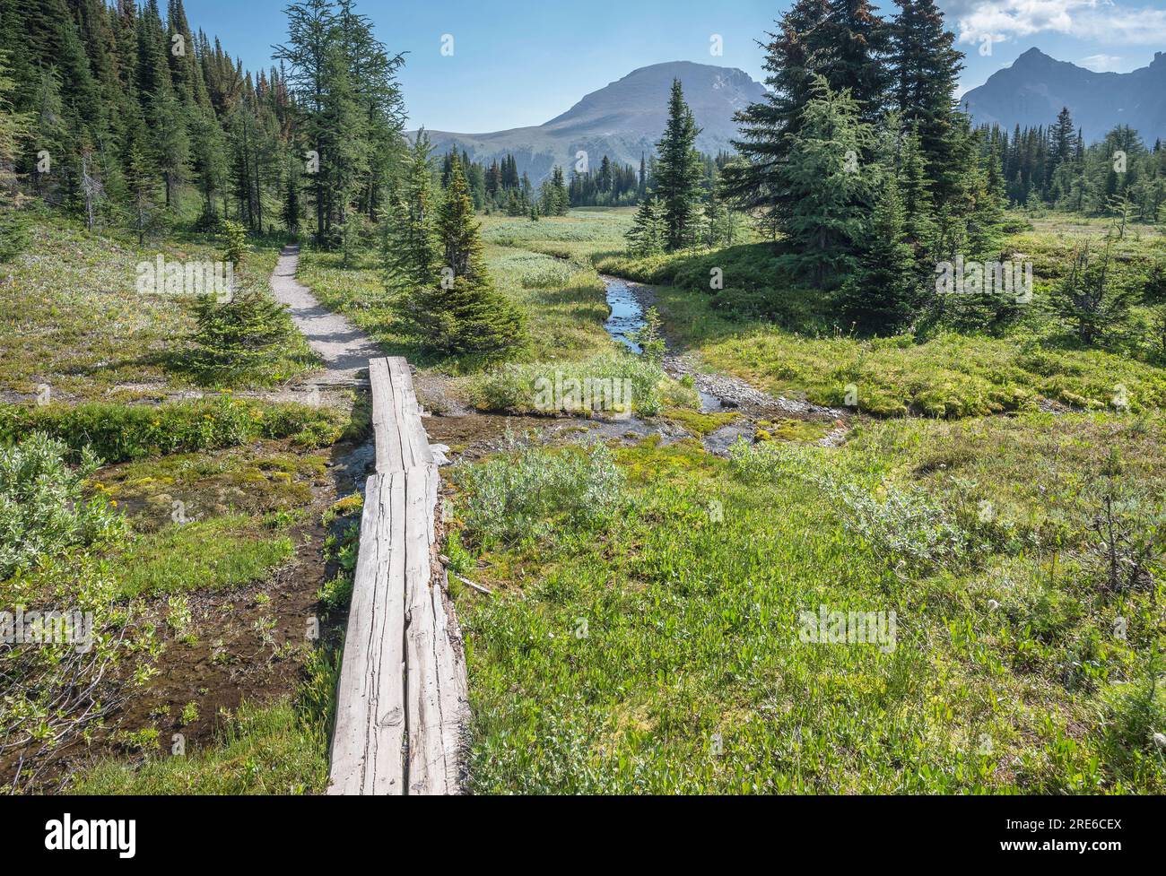 Little wooden bridge over a mountain stream in Sunshine Meadows in ...