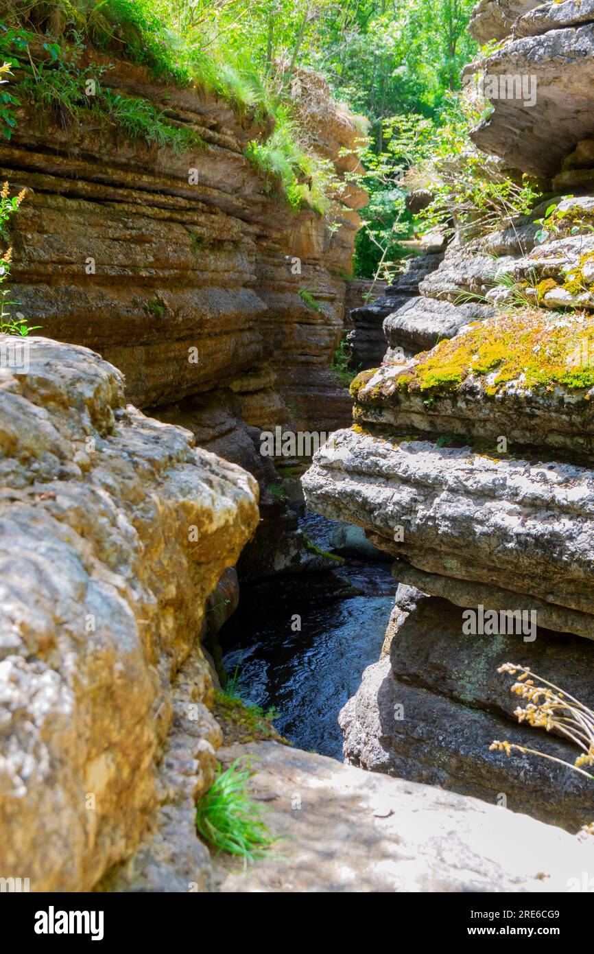 Explore Rosomački Lonci Gorge on Stara Planina, a breathtaking natural ...