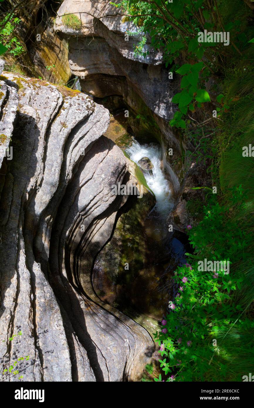 Explore Rosomački Lonci Gorge on Stara Planina, a breathtaking natural ...