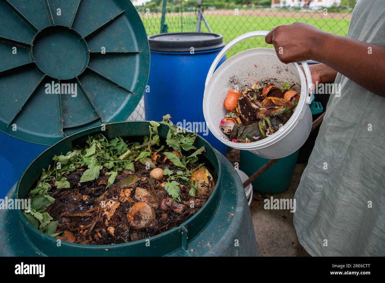 A woman empties a bucket of organic waste into a compost bin Stock ...