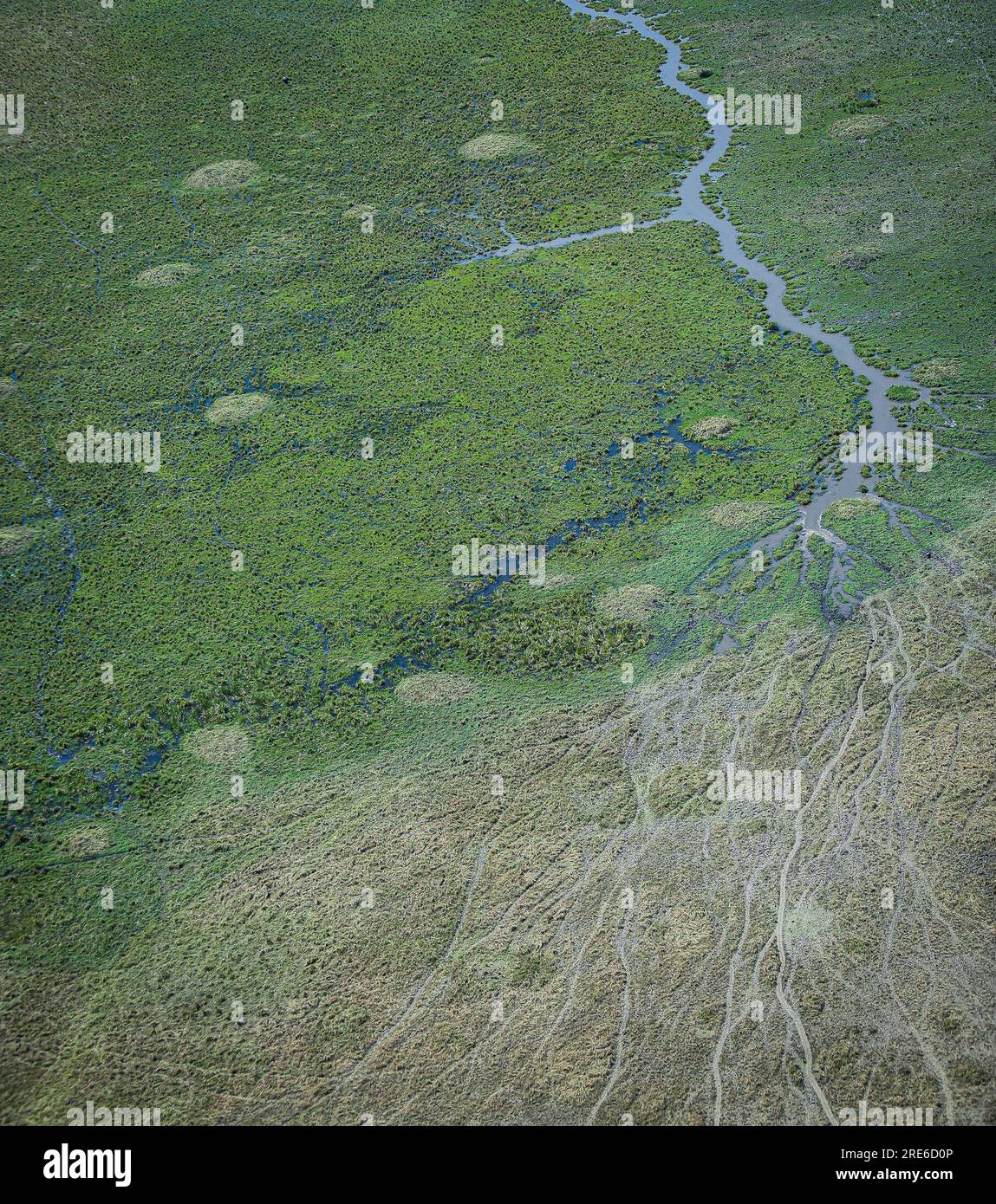 Masai, Masai Mara, Kenya. 25th July, 2023. An aerial image of the Talek ...