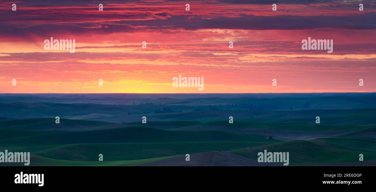 Panoramic view of rolling Palouse hills and the sunset sky in June ...