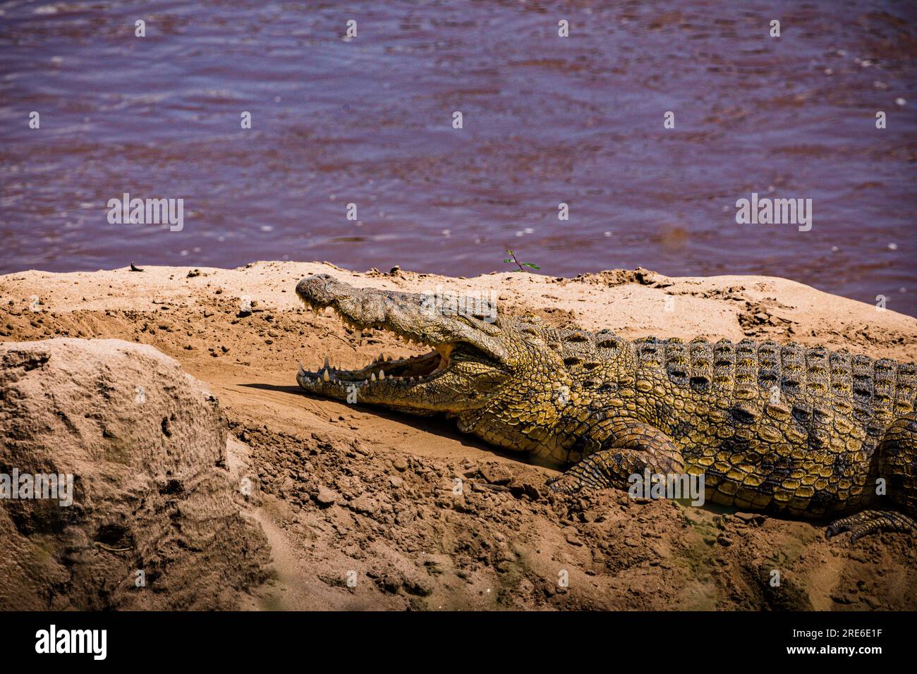 Maasai Mara National Reserve is an area of preserved savannah ...