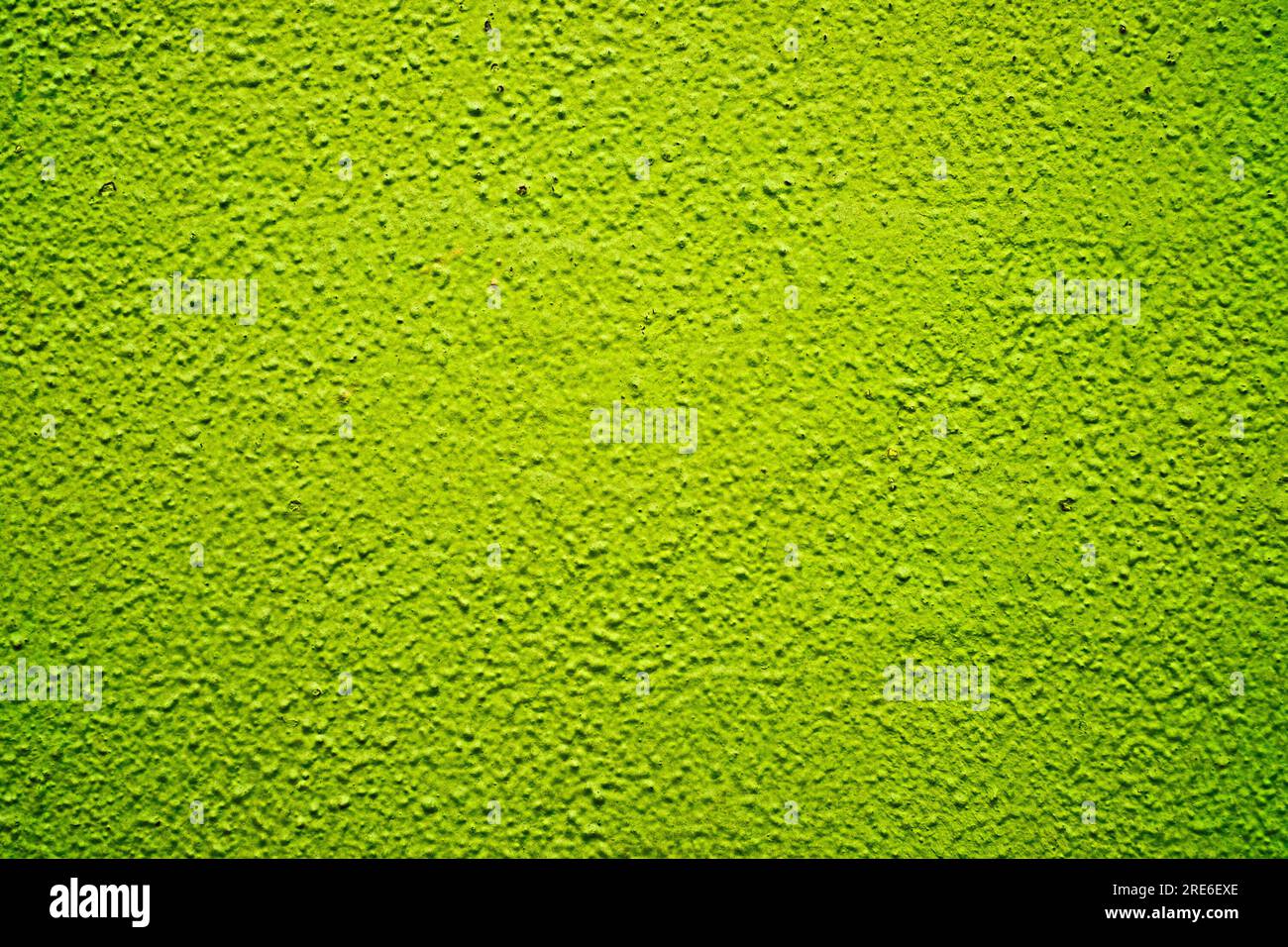 Empty neon green background texture with slight vignette Stock Photo ...