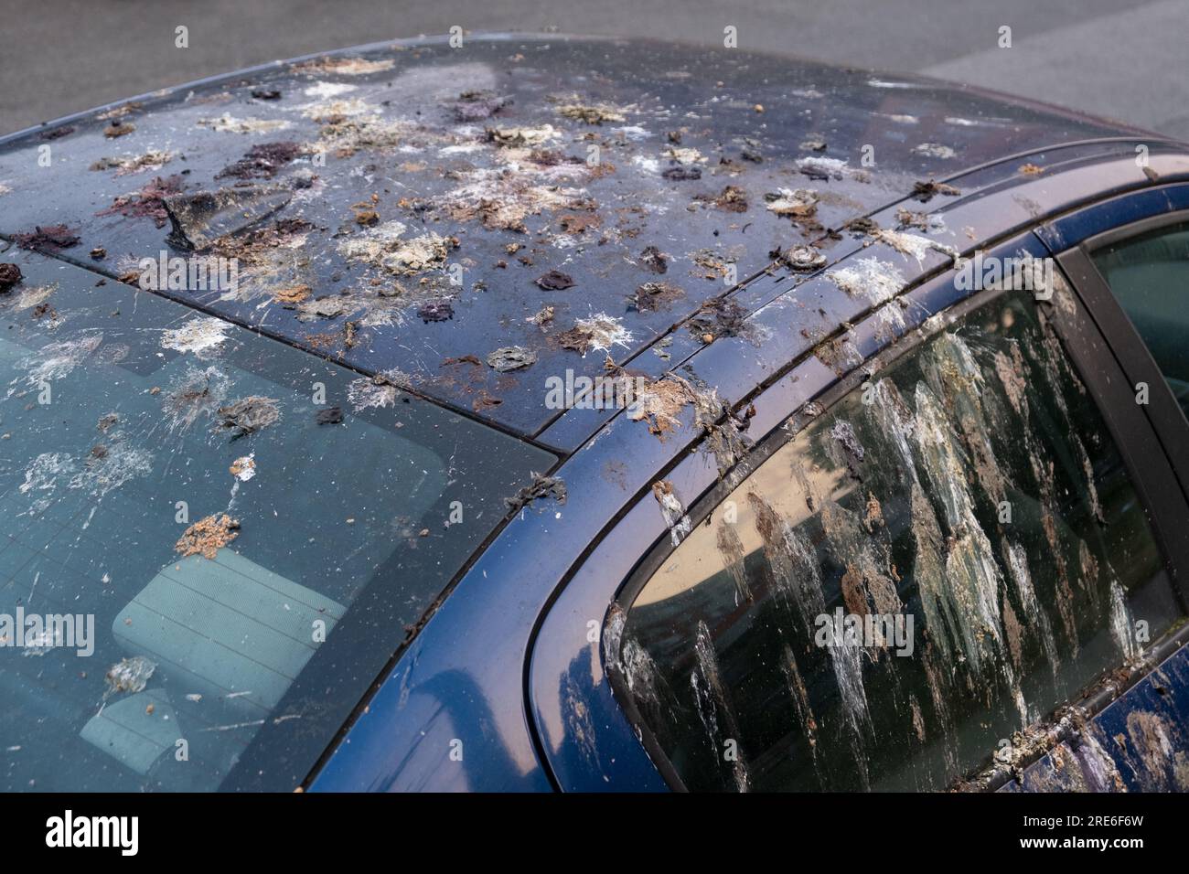 Bird Droppings Completely Cover a window of Parked Car Stock Photo - Alamy