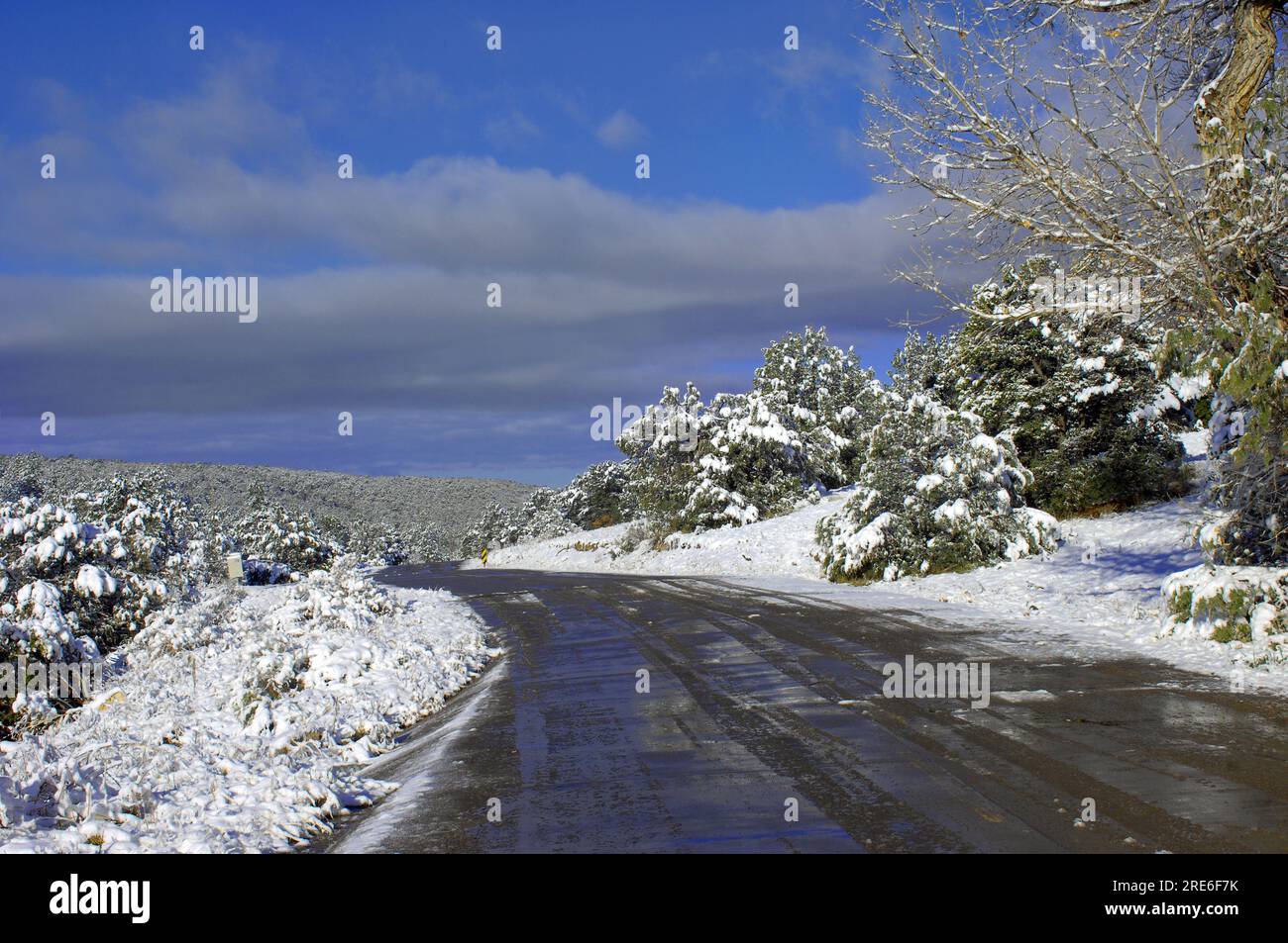 Sky reflects in this dirt lane that twists down the Sandia Mountains in ...