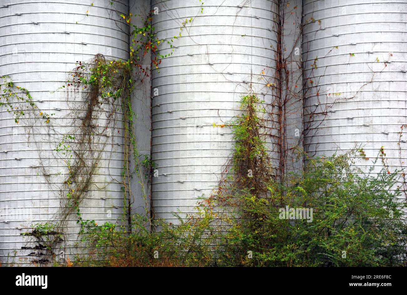 Old Silos Texture