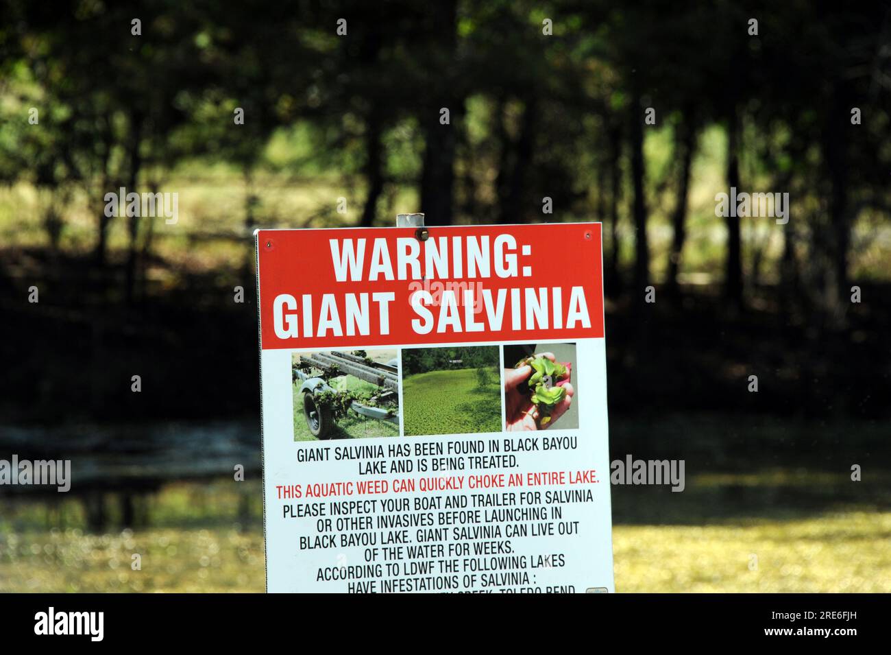 Warning sign recommends inspecion of boat and trailer at Black Bayou ...