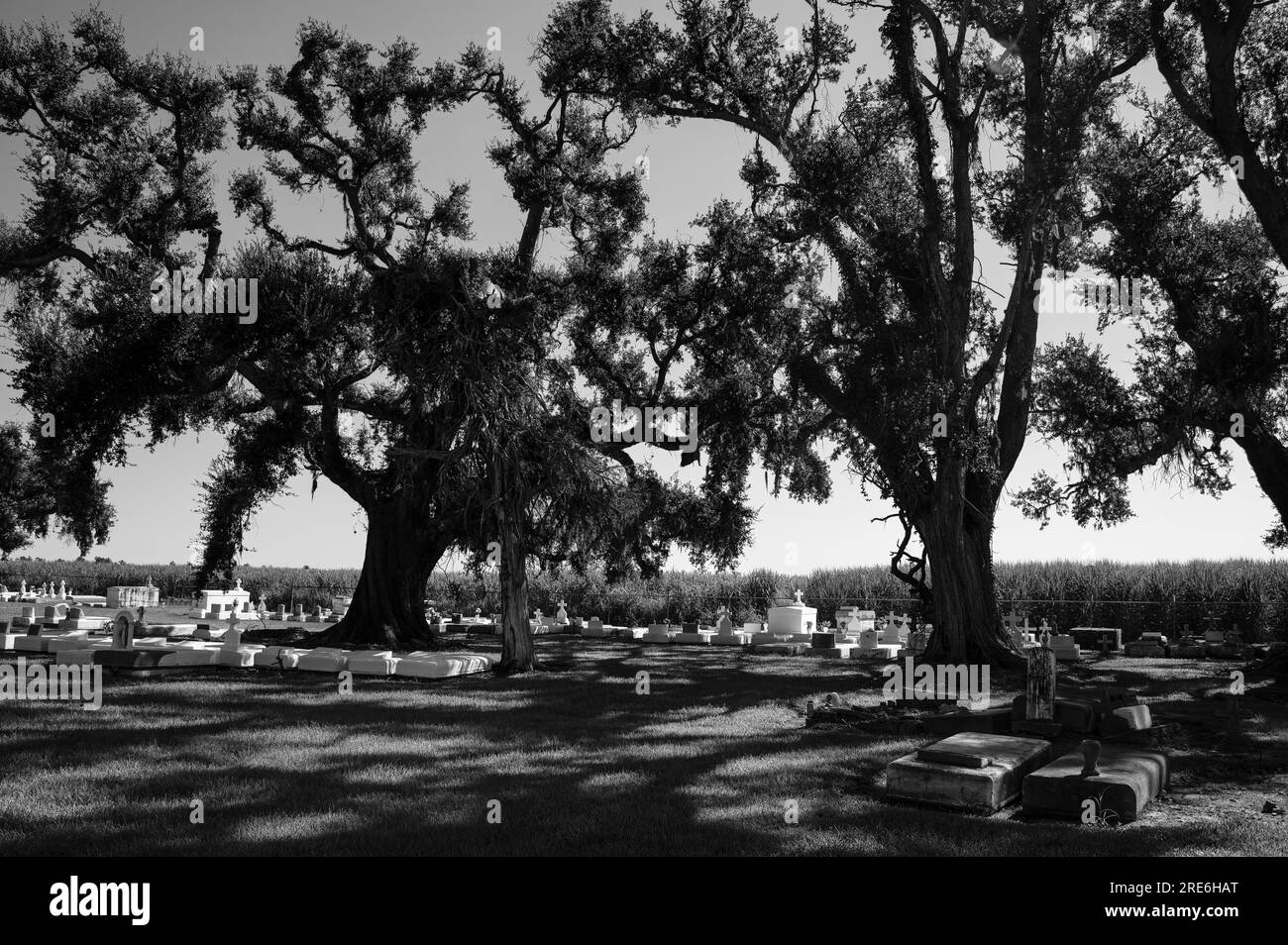 Historic cemetary Black and White Stock Photos & Images - Alamy