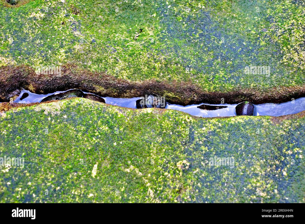 A narrow crevice in a green tidal rock with small pebbles and sea water ...