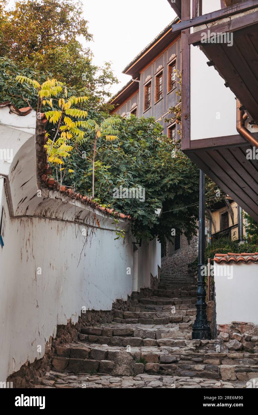 traditional homes built in Revival architectural style in the old town ...