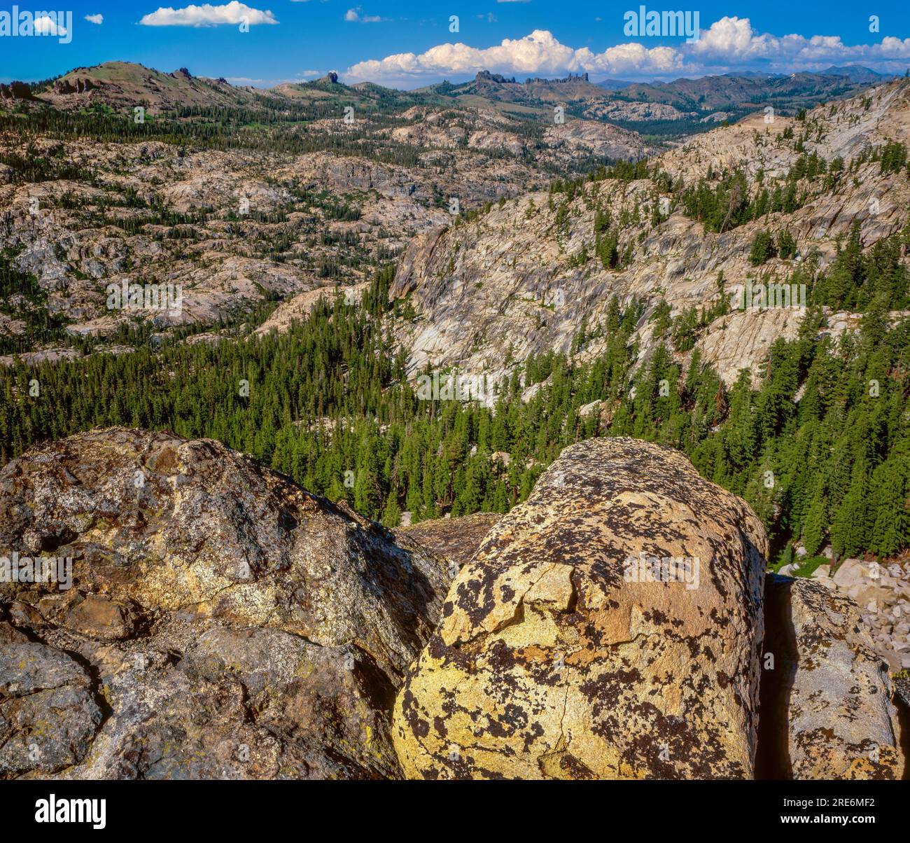 Forest granite hi-res stock photography and images - Alamy