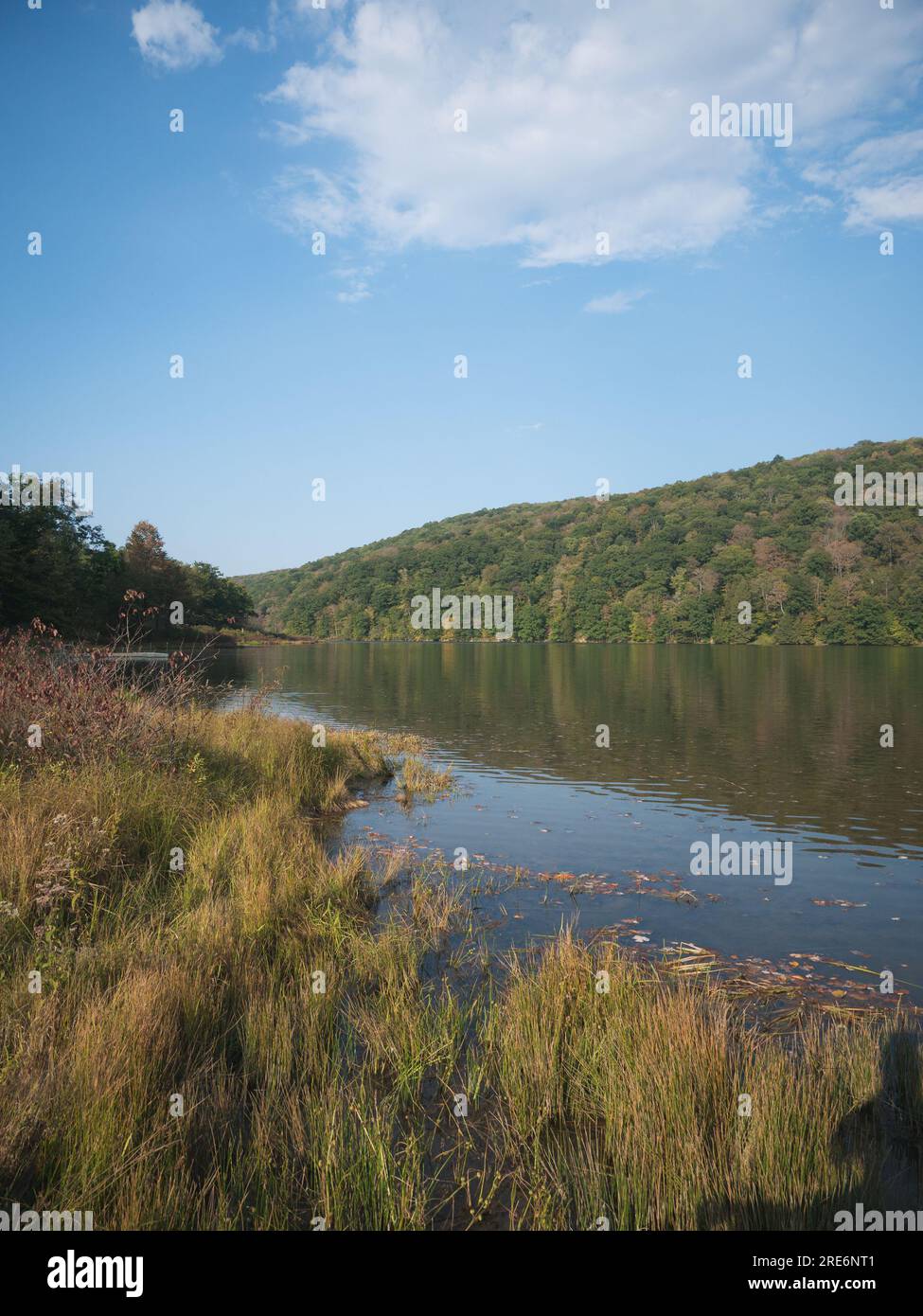 Water in nature hi-res stock photography and images - Alamy
