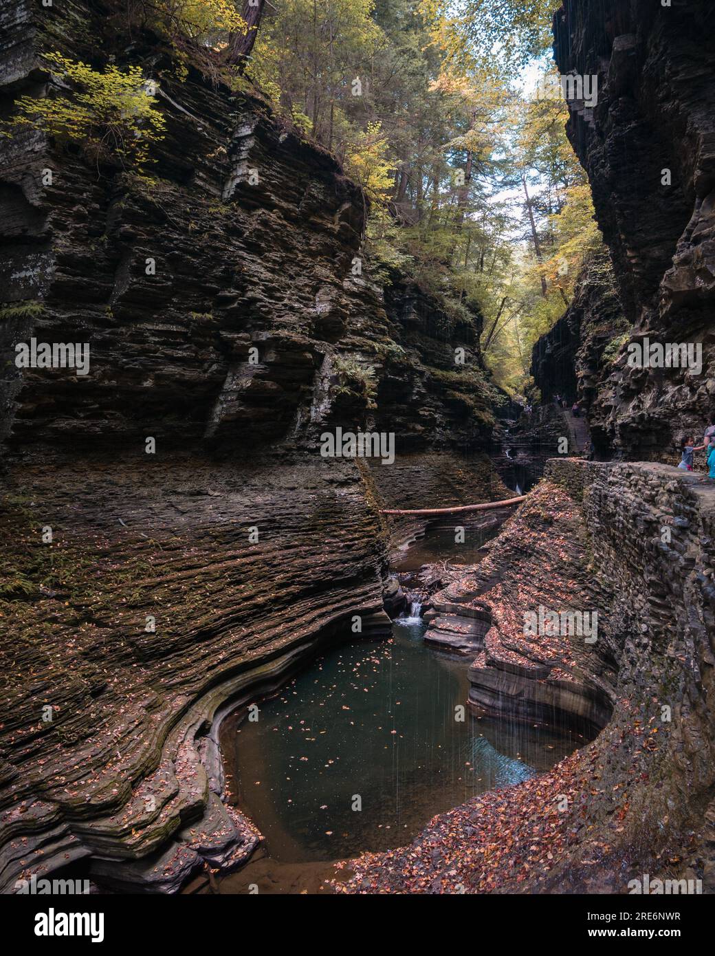 Watkins glen state park outdoor adventure hi-res stock photography and ...