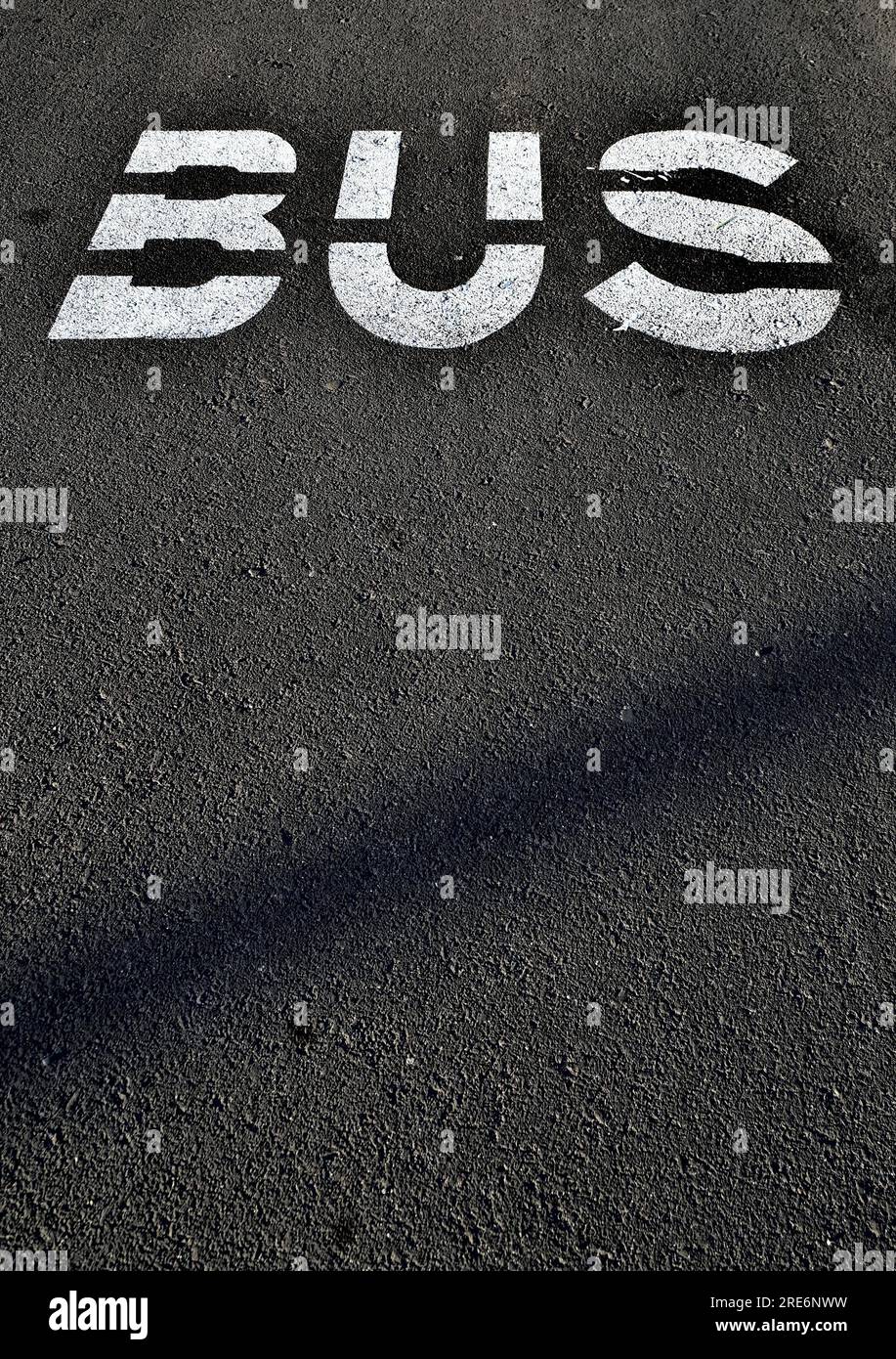 A single word BUS in white stencil on black asphalt pavement, bus lane ...