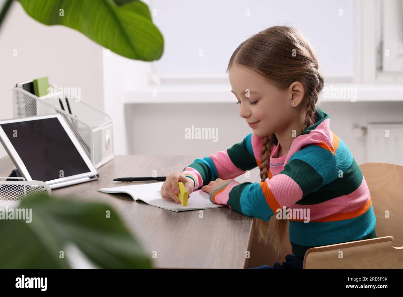Girl erasing mistake in her homework at wooden table in room Stock ...