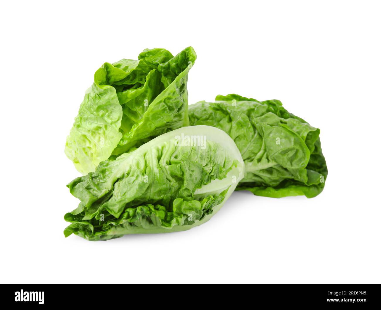 Fresh green romaine lettuces isolated on white Stock Photo - Alamy