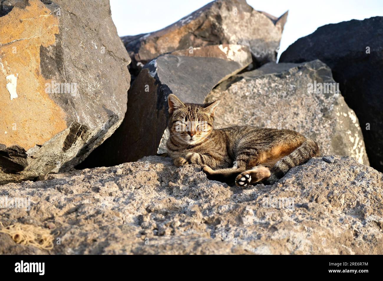 Sleepy sun hi-res stock photography and images - Alamy