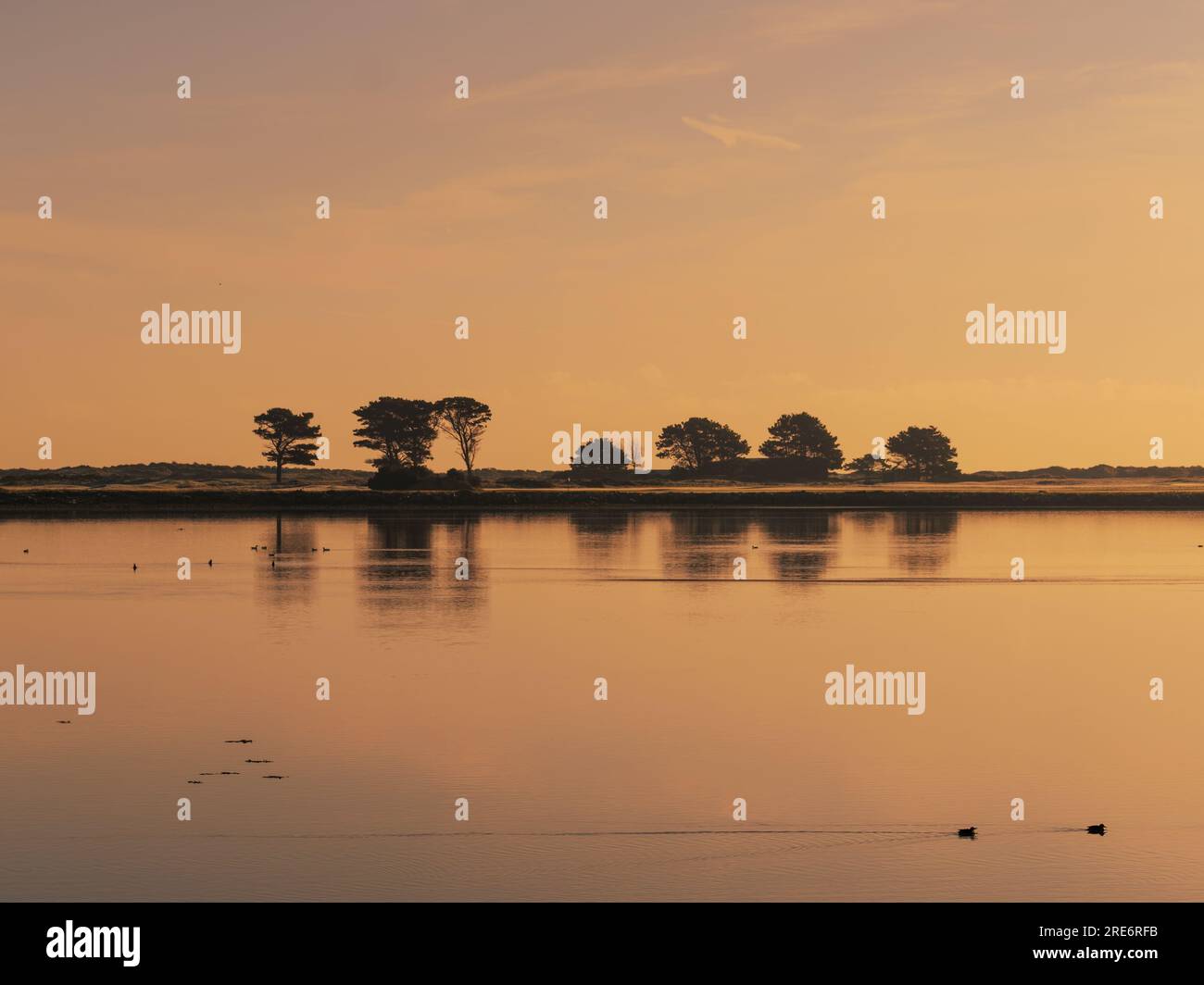 Morning reflections on Baldoyle Bay Stock Photo - Alamy