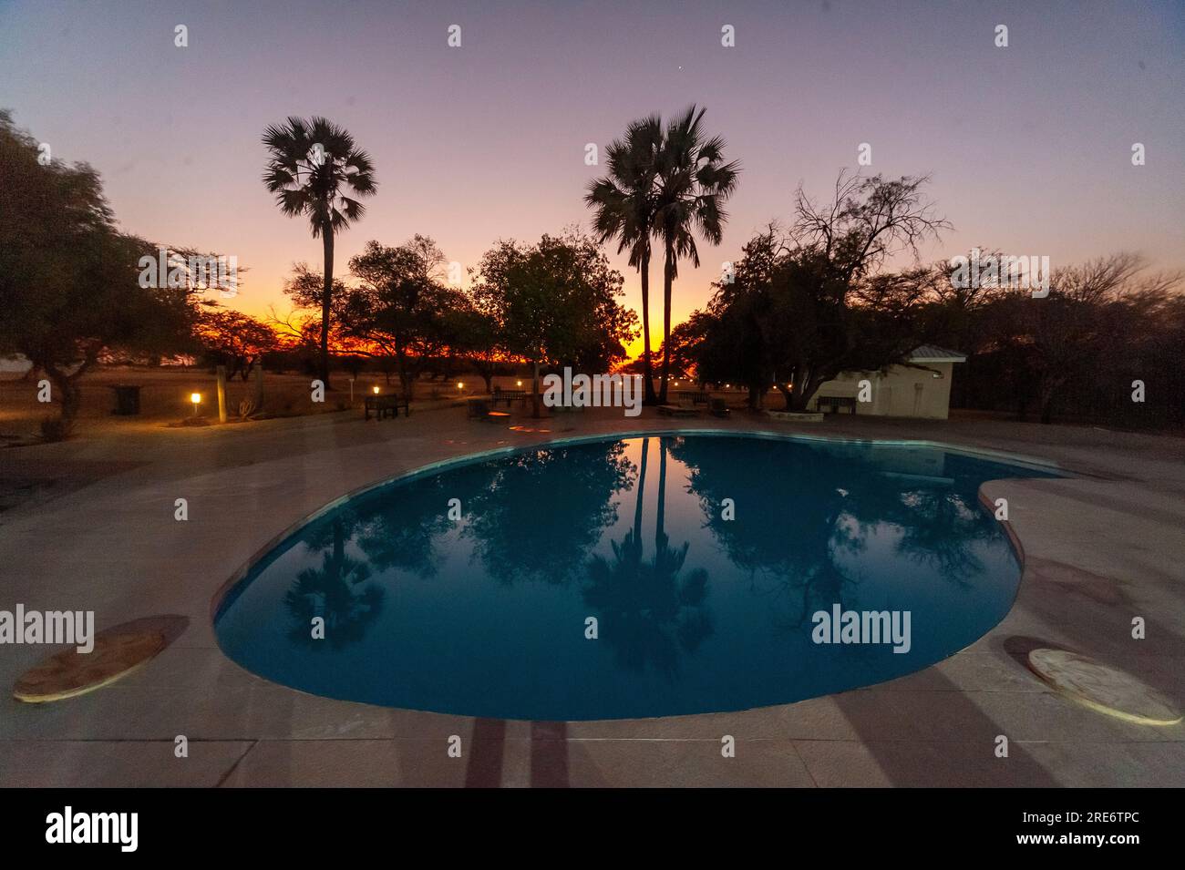 Swimming Pool at Halali Resort, Etosha National Park, Namibia Stock ...