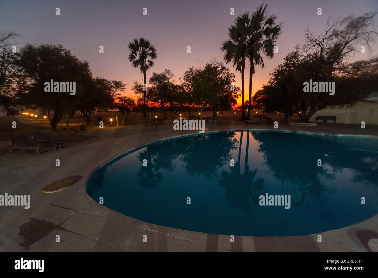 Swimming Pool at Halali Resort, Etosha National Park, Namibia Stock ...