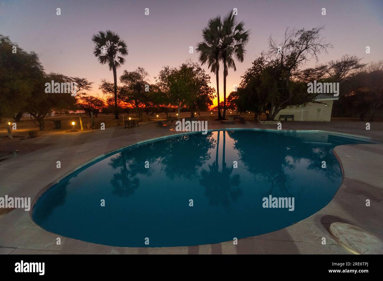 Swimming Pool at Halali Resort, Etosha National Park, Namibia Stock ...