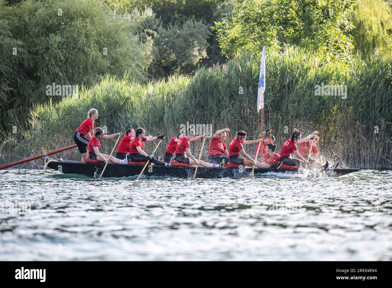 Rowing competition on lake bacina local team hi-res stock photography ...