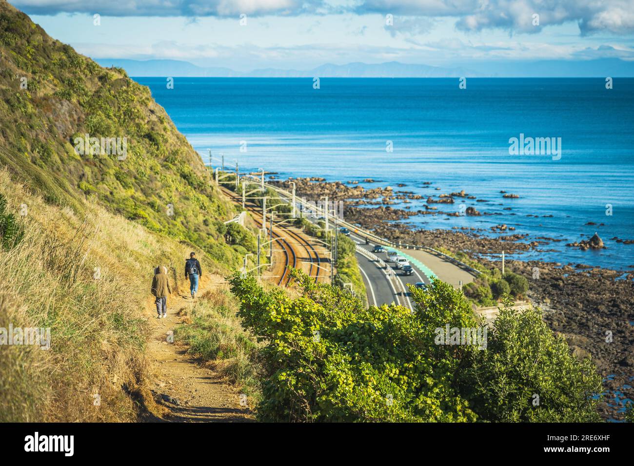 Nature landscape of Wellington，New Zealand Stock Photo - Alamy