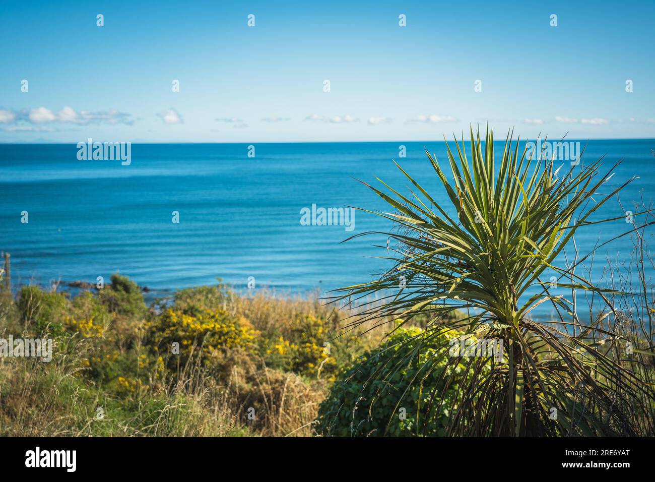 Nature landscape of Wellington，New Zealand Stock Photo - Alamy