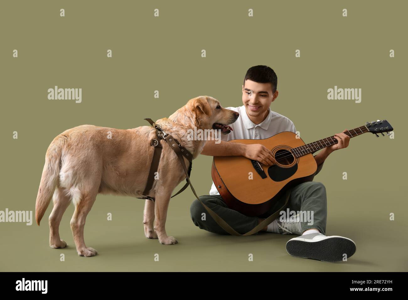 Golden retriever guitar hi-res stock photography and images - Alamy