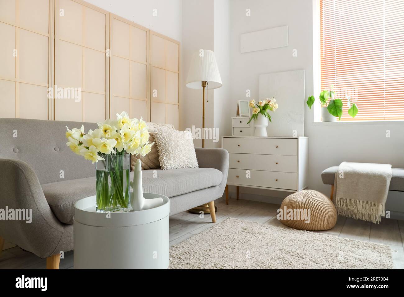 Interior of living room with grey sofa, drawers and lamp Stock Photo ...